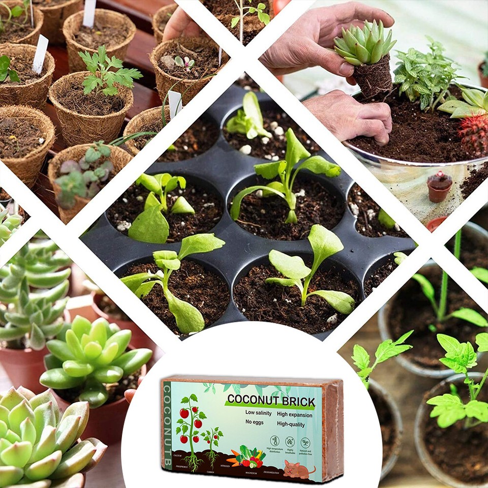 3-Pack Coco Coir Brick Fiber Growing Potting Soil Plant Growing Media ...