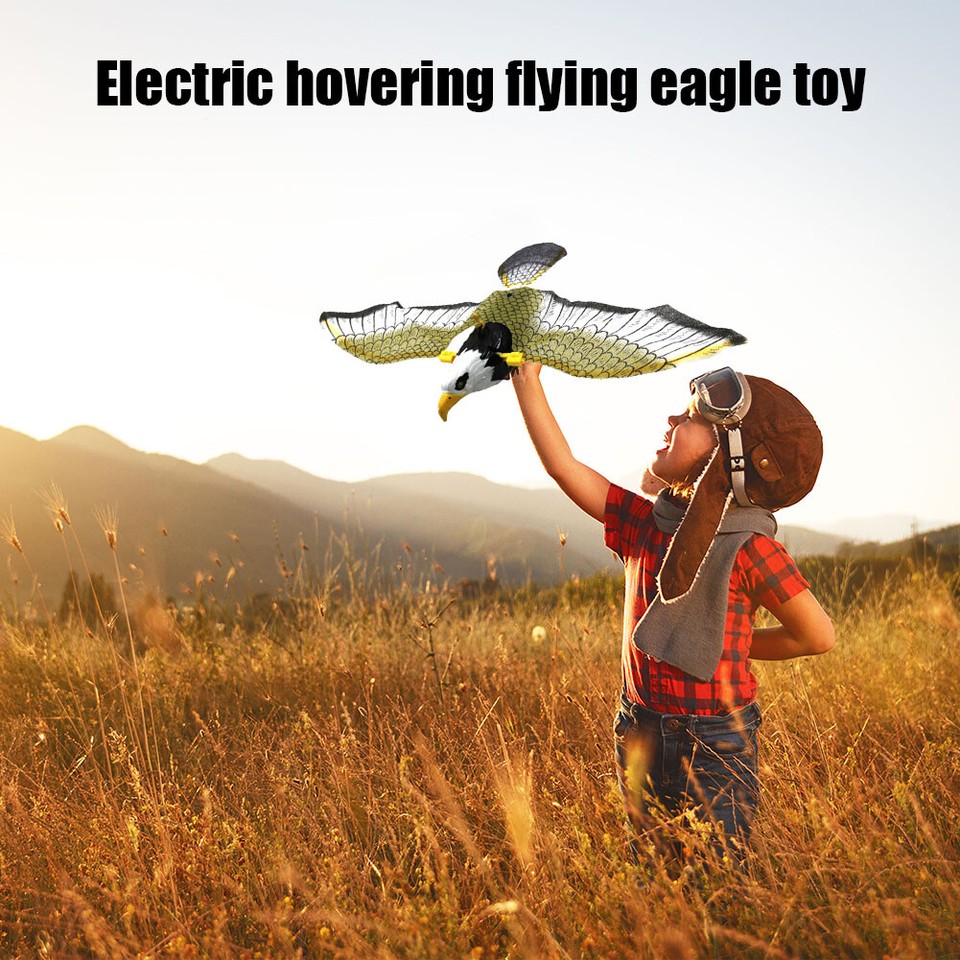 Simulation Electric Eagle Flying Bird Kids Boy Girls Playing ...