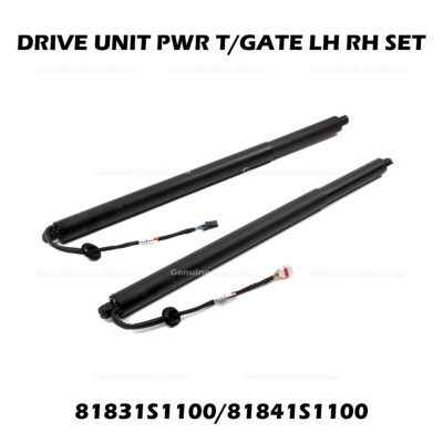 DRIVE UNIT PWR T/GATE ⭐ LH + RH ⭐ SET 81831S1100 81841S1100 for Hyundai Santa Fe | eBay