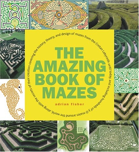 The Amazing Book of Mazes Hardcover Adrian Fisher 9780810943117| eBay