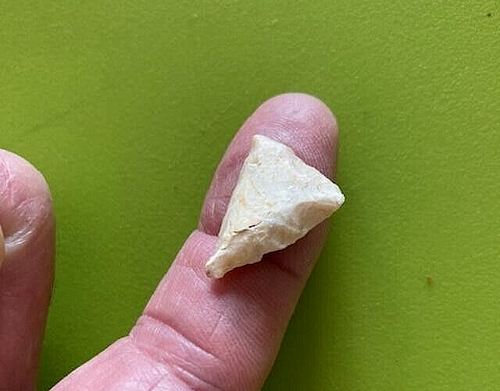 NICE triangular Bird Point Authentic Arrowhead American Indian Artifact ...