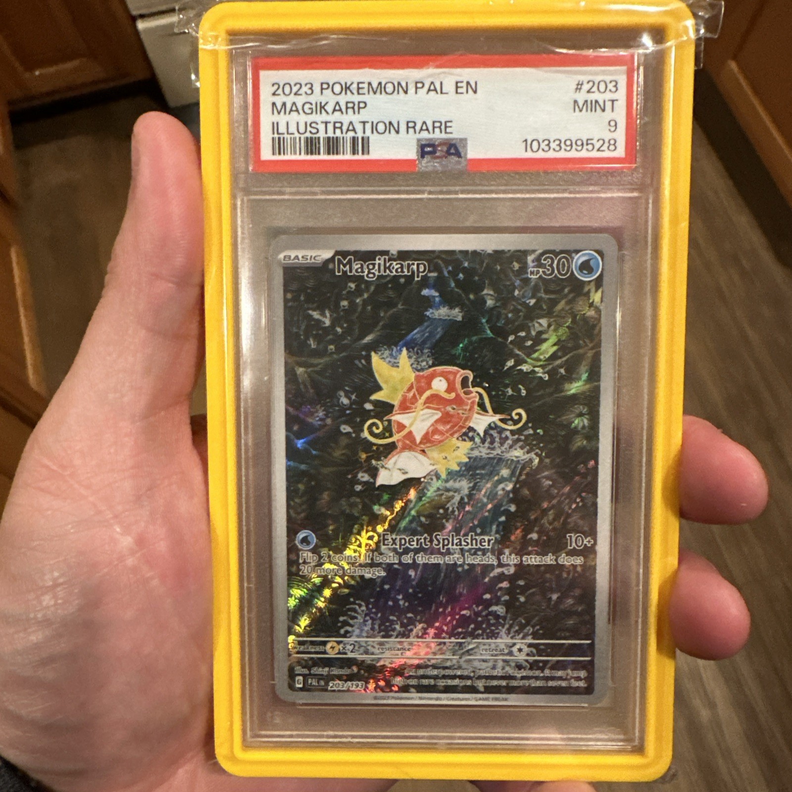 Magikarp 203 Current Market Value | Paldea Evolved