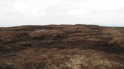 Photo 6x4 Summit bogs, Meall nam Fuaran Meall nam Fuaran/NN8236 Meall ...