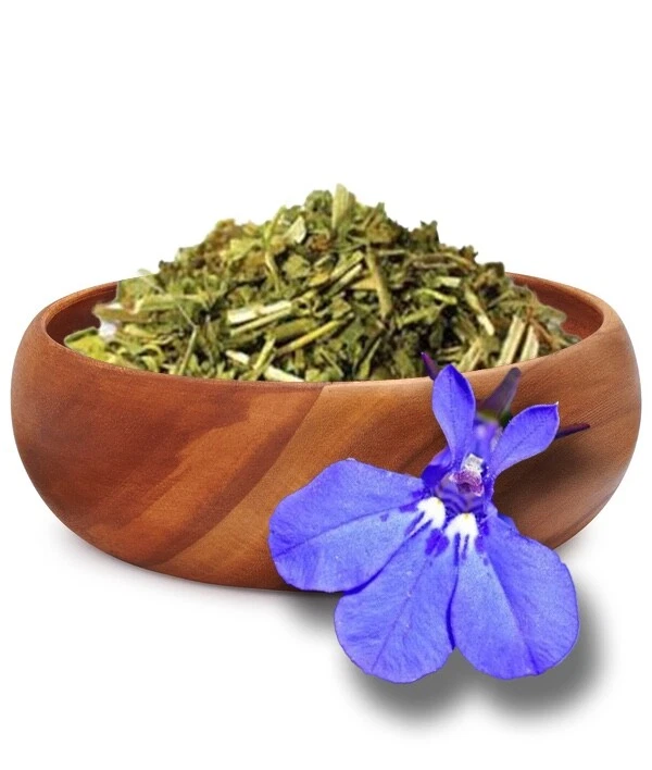 Lobelia Herb
