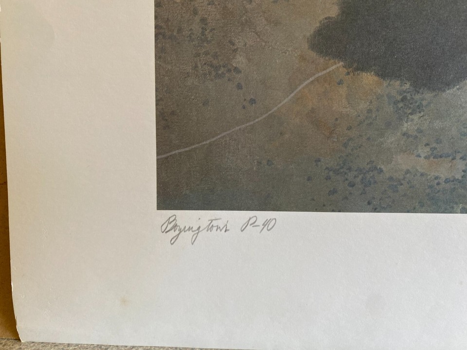 RARE aviation Art Print Boyington P-40 by Stan Stokes signed by Pappy ...