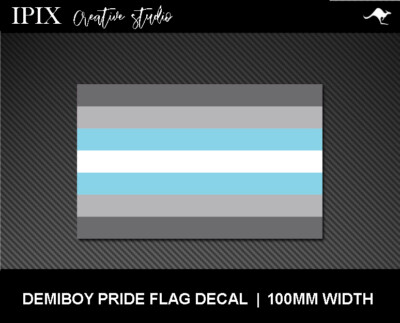 DEMIBOY PRIDE FLAG DECAL | STICKER | BAR | CAR | 100MM WIDTH | eBay ...