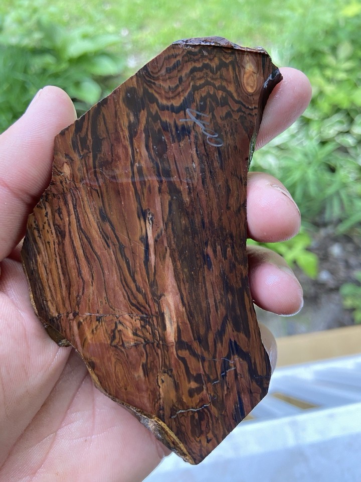 Biggs Jasper Rough Slab 2.7 Oz | eBay