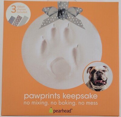 Pearhead Pet DIY Pawprints Keepsake Kit Ornament NEW | eBay