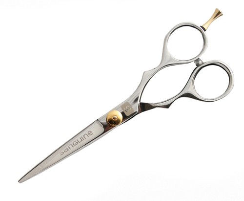 Hairdressing Scissors Barber Shears Salon Hair Cutting Trimming Bang ...