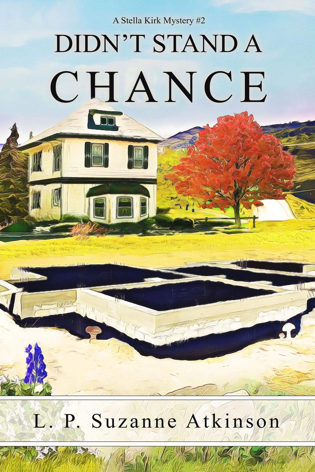 L P Suzanne Atkinson Didn't Stand a Chance (Paperback) (UK IMPORT ...