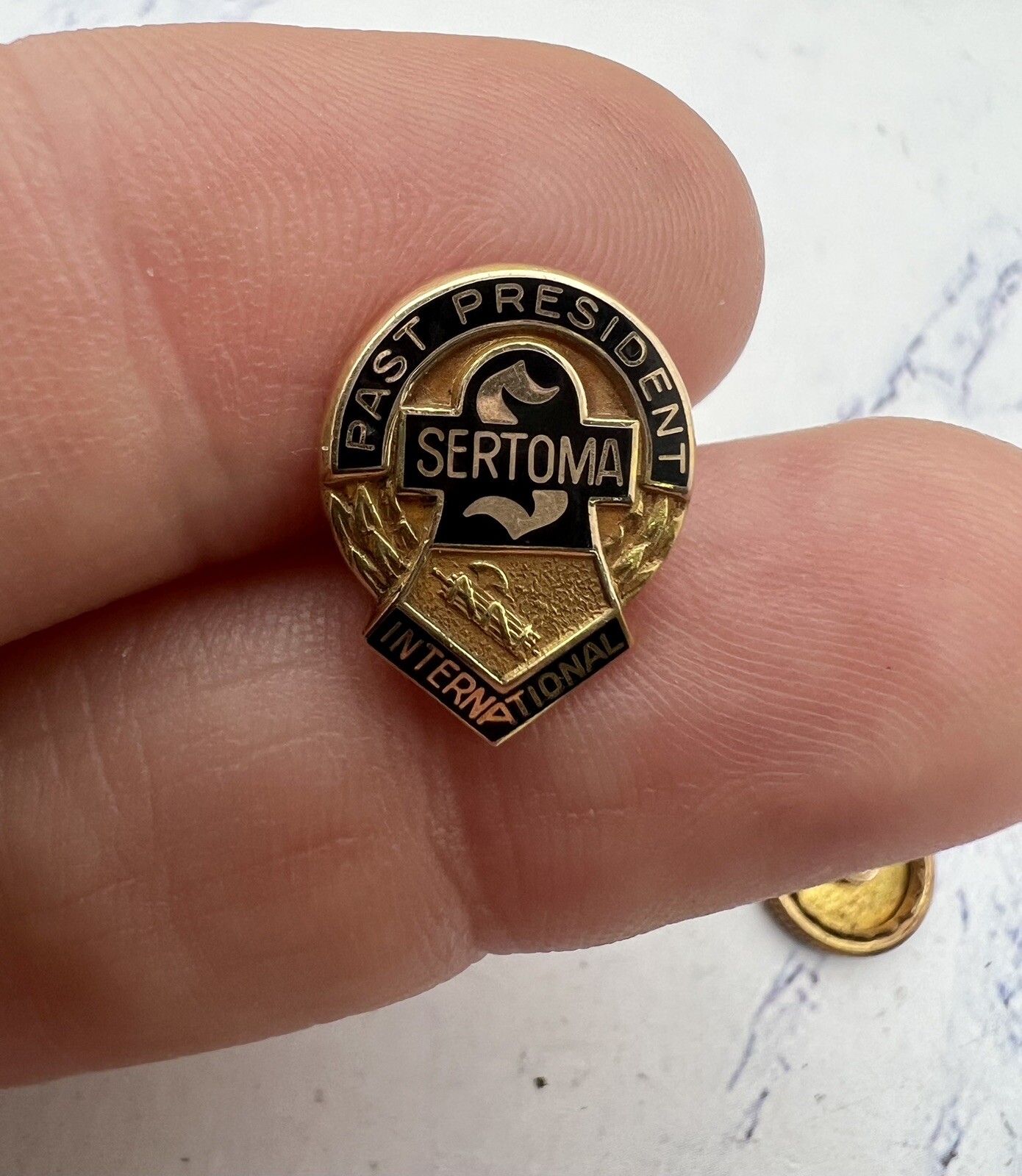 Rare Vintage Sertoma Interational Past President 14k … - Gem