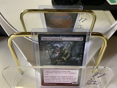 MTG Magic the Gathering Hagra Constrictor (105/493) Zendikar Rising NM ...
