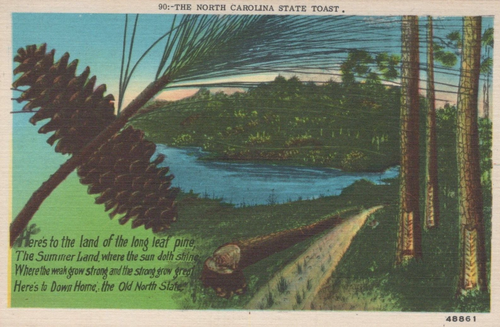 The North Carolina State Toast Linen Postcard | eBay