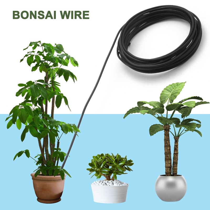 10 Rolls Bonsai Wires Anodized Aluminum Bonsai Training Wire in 5 Sizes ...