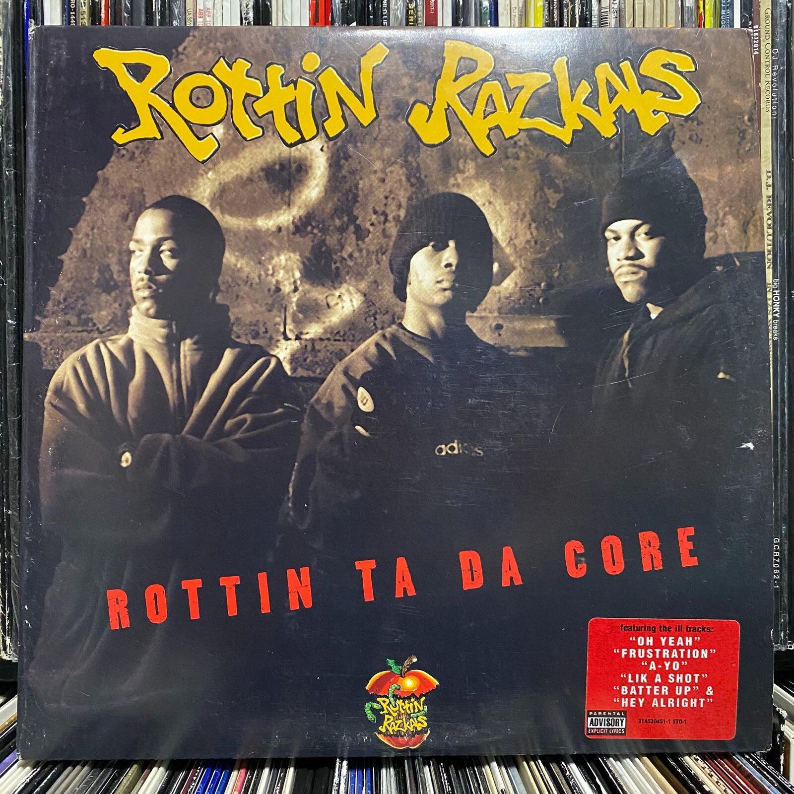 ROTTIN RAZKALS - ROTTIN TA DA CORE (VINYL LP) 1995!! RARE!! NAUGHTY BY ...