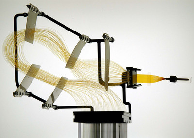 Regeneration service for ABI 3730 3730 XL capillary array 36cm 50cm 48 ...