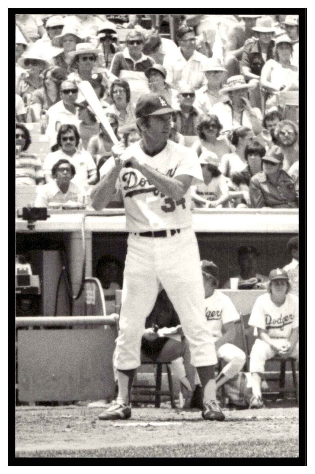 Norm Sherry (1979) Los Angeles Dodgers Vintage Baseball Postcard BL1 | eBay