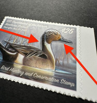 #RW91 2024 - Federal Duck Stamp **CHUCK BLACK** MNH **OFFSET EMBOSSING ...