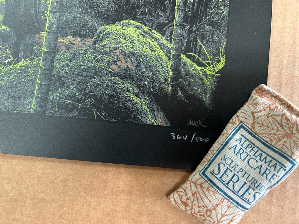 MARK ENGLERT - I WILL TEACH YOU TO PROTECT YOURSELF Star Wars Fine Art ...