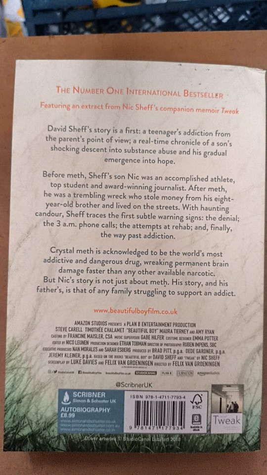 Beautiful Boy English Father Journey Novel Book By David Sheff - NEW ...