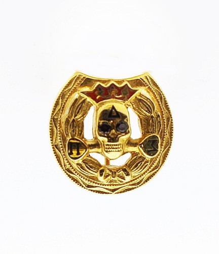 Gold Tone Delta Sigma Pi Fraternity Member Badge Pin | eBay