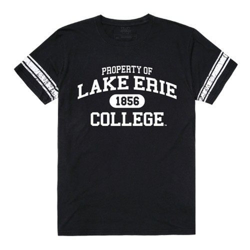Lake Erie College Storm LEC NCAA Cotton College Logo Property Football ...