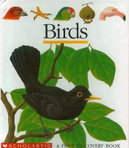 Birds First Discovery Books - Hardcover By Scholastic - GOOD ...