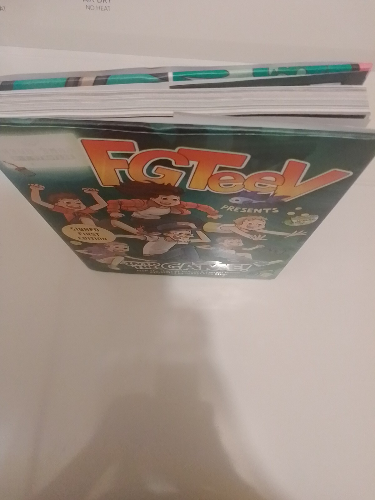 FGTeeV Presents Into The Game SIGNED Book FGTeeV Duddy (2020,1st/1st ...