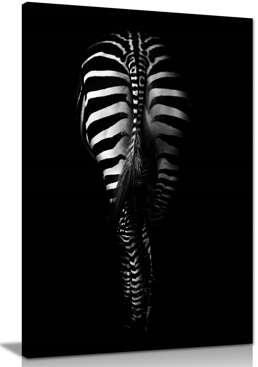 Zebra Skeleton Grevys Zebra Skull | Stock Image Science Source