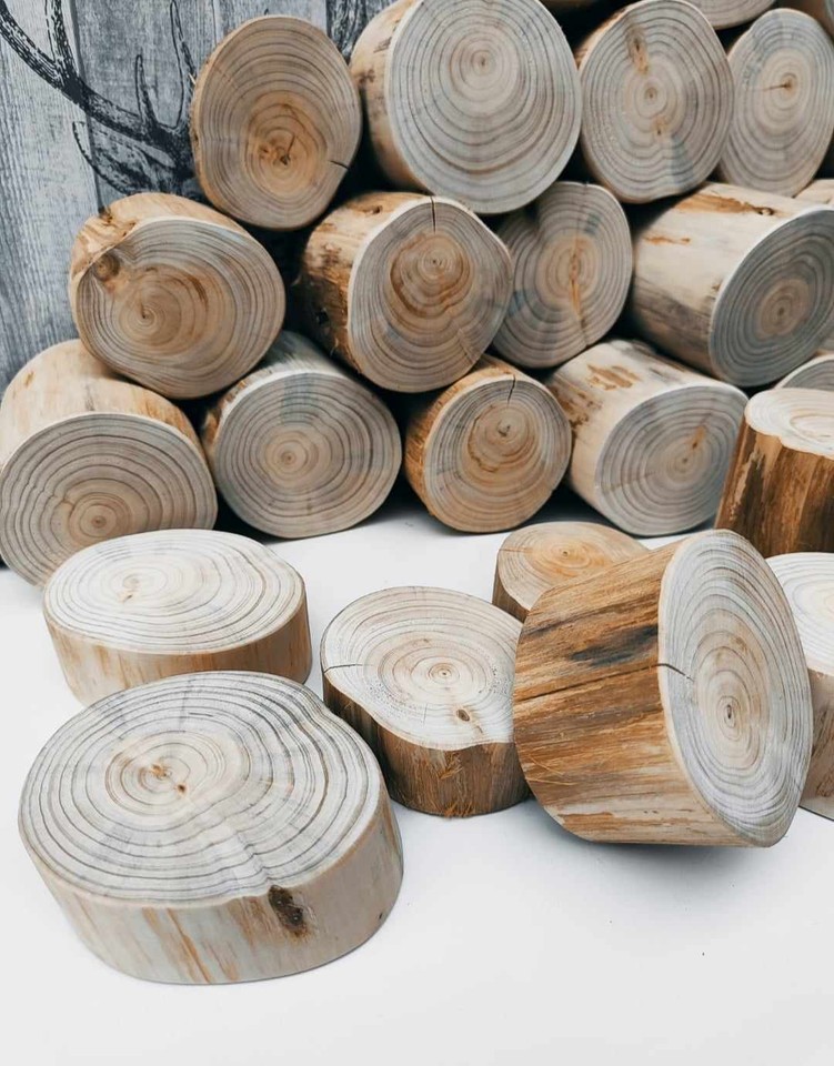 Decorative fireplace display logs Wood Slices Rustic Wall decorative ...