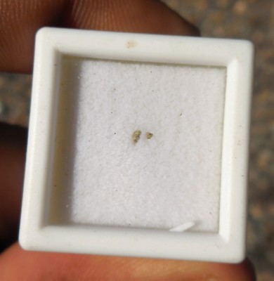 TINY LUNAR NWA 6950 GABBRO SPECIMEN - RARE METEORITE - ONLY $7 OR BEST ...