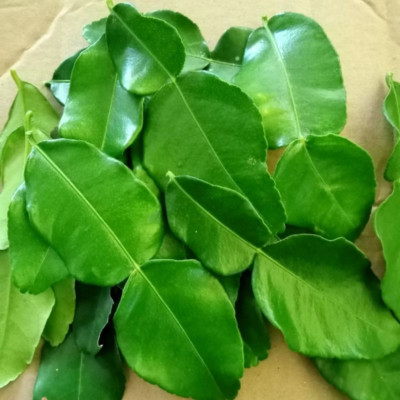 200g KAFFIR LIME FRESH LEAVE THAI COOKING TOM YUM FREE SHIP | eBay