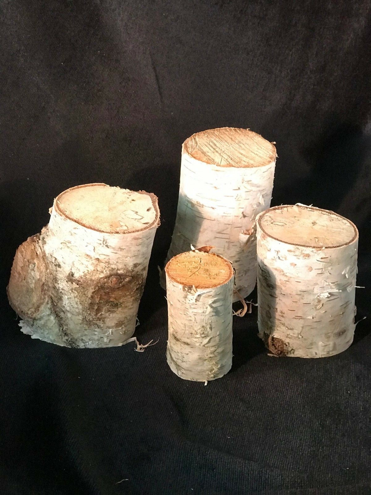 White Birch logs, 4 count, varies 3 inches to 4 inches long with diam ...