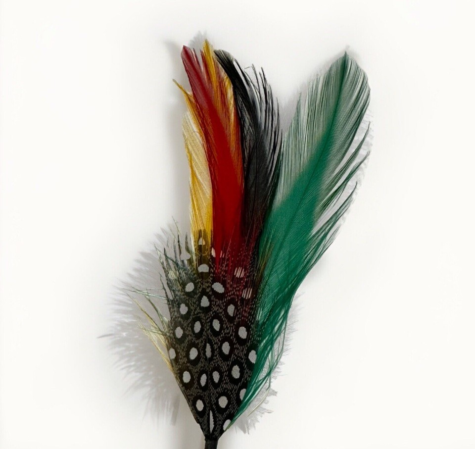 STETSON & RESISTOL ORIGINAL CLASSIC COLORED COWBOY HAT FEATHER | eBay