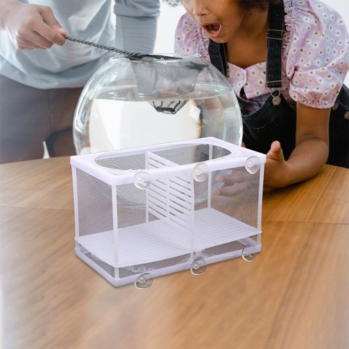 Fish Tank Isolation Net Breeding Incubator Hatchery for Shrimp Box | eBay