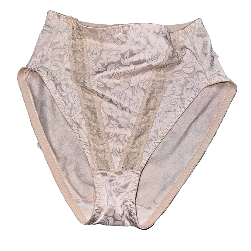 90s Playtex Secrets Second Skin Panties Nylon Hi-Leg Brief Vintage ...