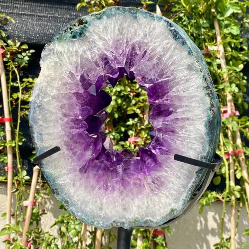 6.37LB Natural rare amethyst cave scale quartz crystal mineral specimen ...