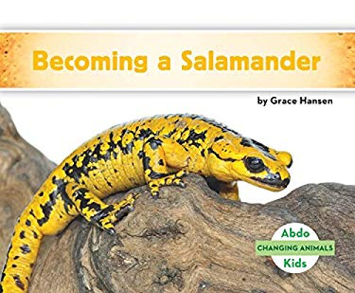 Becoming a Salamander Library Binding Grace Hansen 9781680805123 | eBay