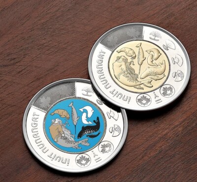 2024 Canada 2$ Coins Toonie Inuit Nunangat Marine Mammals Both types (2 ...