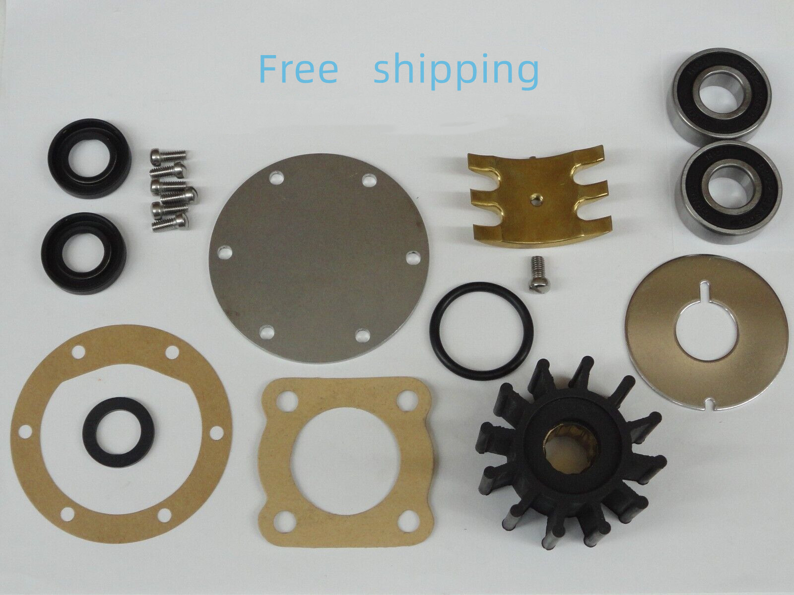 Major Repair Kit Jabsco Pump 5850-0001 Impeller Gasket seals Bearings ...