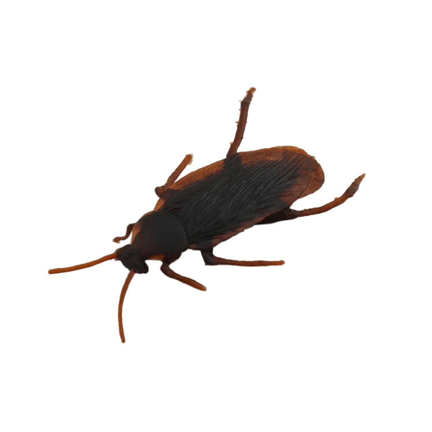 Fake Plastic Roaches Cockroach Toy (Pack of 25) - Red , BEST QUALITY ...