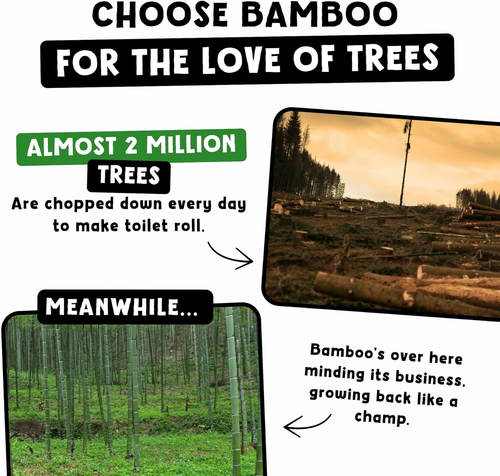 The Cheeky Panda – Facial Wipes, Coconut Scented | Bulk Box of 24 Packs ...