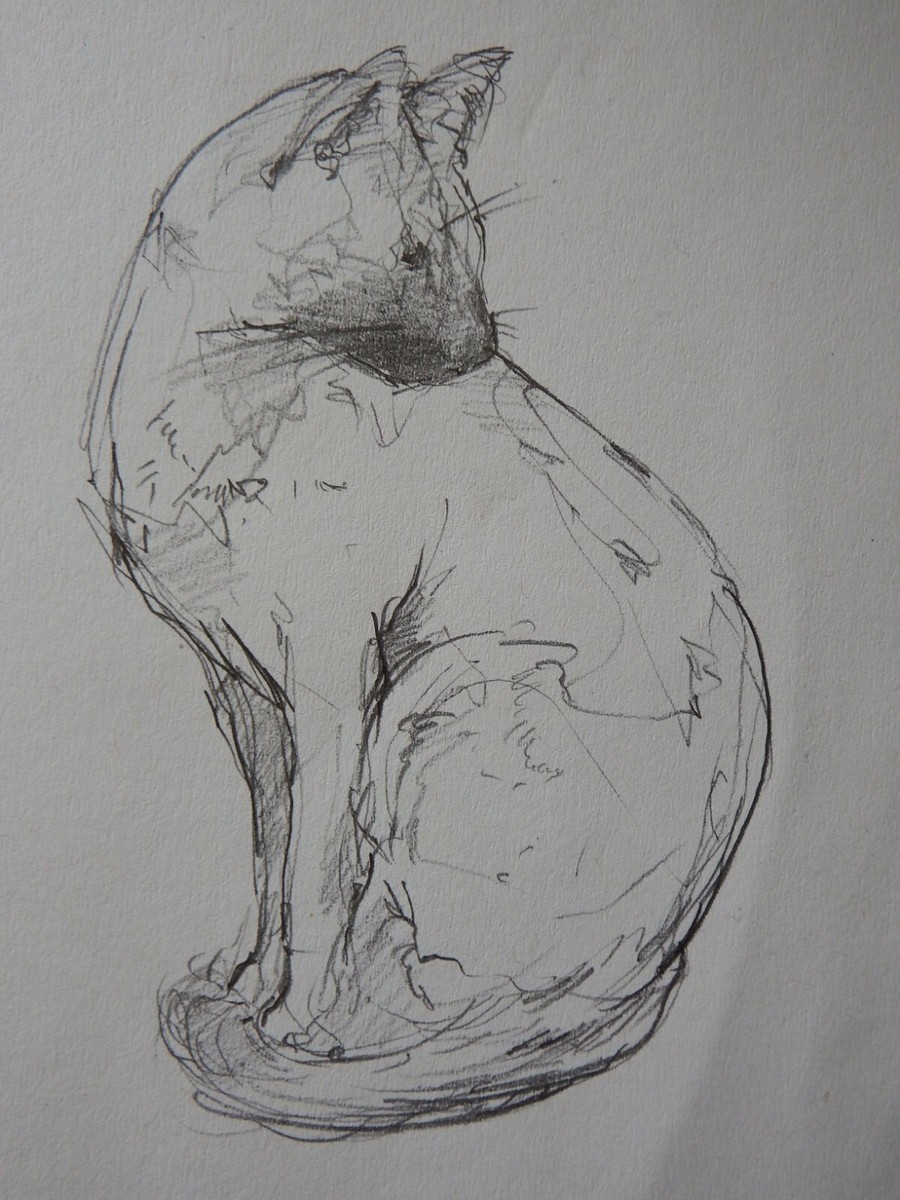 Sitting Cat Drawing