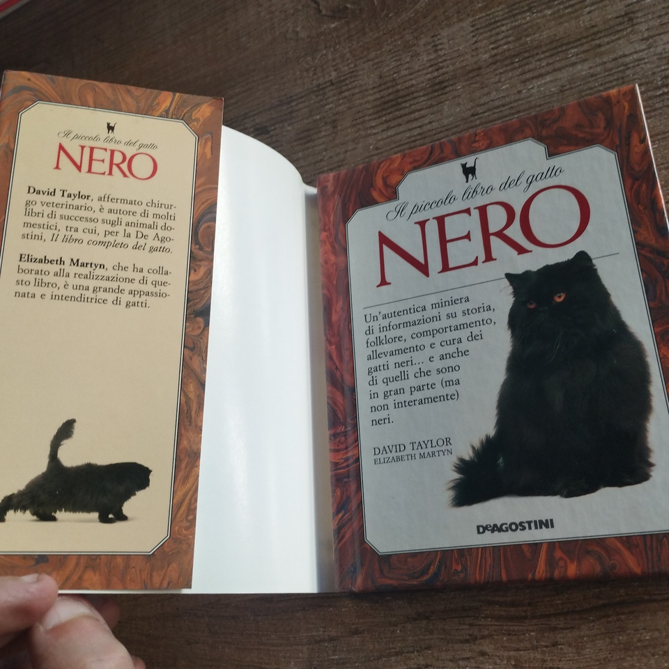 IL PICCOLO LIBRO DEL GATTO NERO DAVID TAYLOR ELIZABETH MARTYN ...