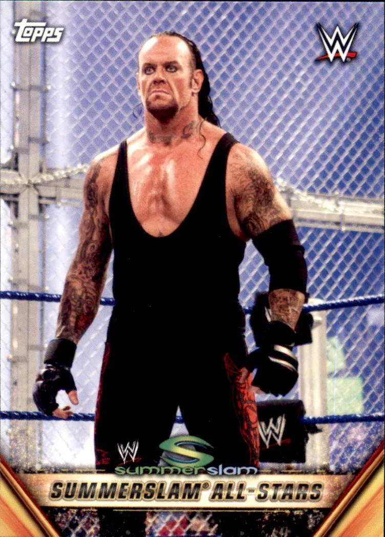 Undertaker Vs Edge Hell In A Cell