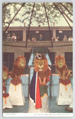 Animal~King Leo & Court @ St Louis Zoo~St Louis Missouri~Vintage ...