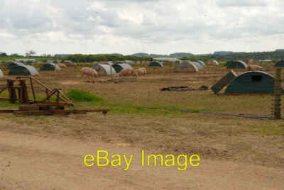 Photo 6x4 Pig corner near Cocked Hat Plantation Cuxwold The pigs have ...