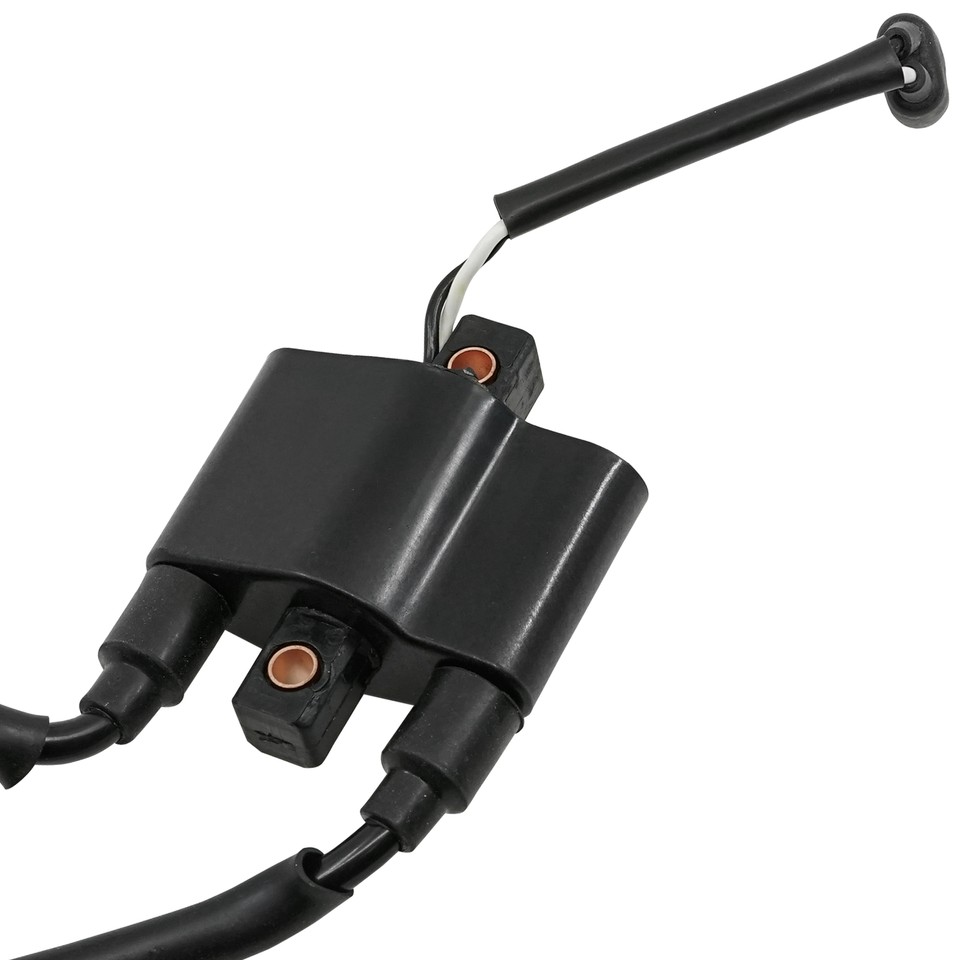 for Polaris 4060229 4016199 Ignition Coil Double Line | eBay