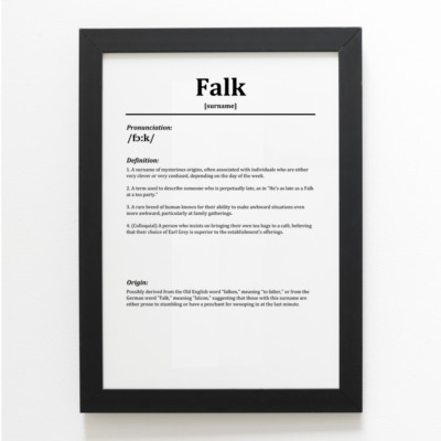 A3 PRINT - Falk - Funny Humorous Family Surname Definition | eBay UK