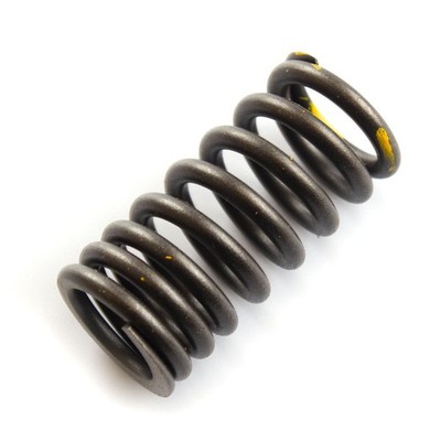 Motorcycle Valve Spring (Each) for TR380-GP1, MITT400GPR (VLVS038) BNIB ...